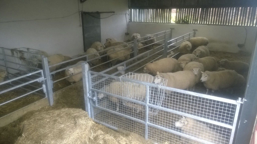 Livestock dividing panel - Sheep Division Gates / Panels - O'Donnell ...