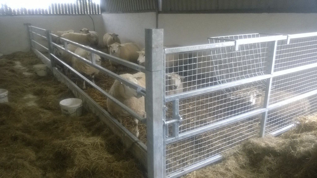 Livestock dividing panel - Sheep Division Gates / Panels - O'Donnell ...