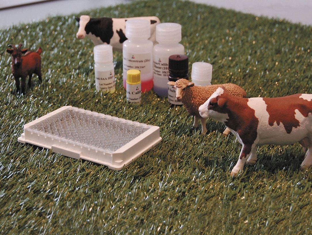 Milk test kit - MAA - Bentley Instruments - amyloid-A / for veterninary ...