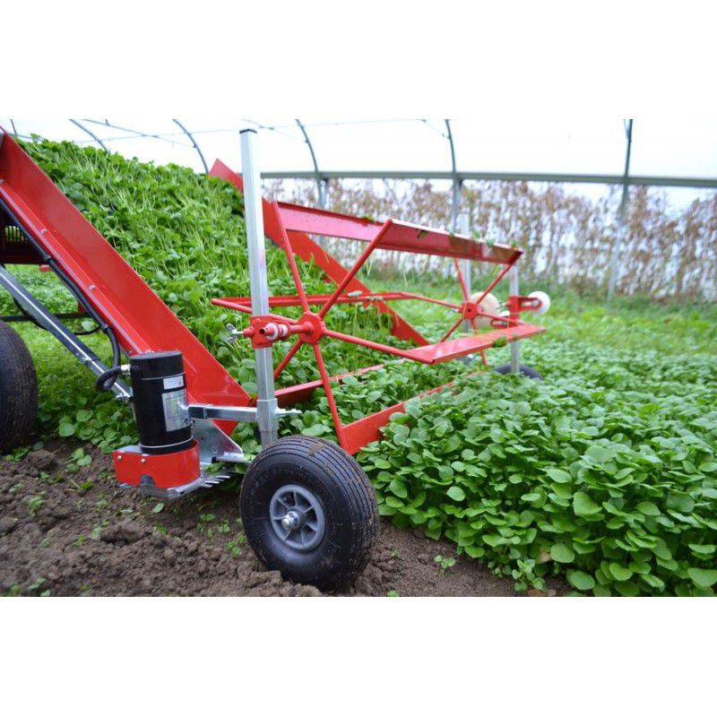 Spinach harvester - T.CG.RJP - Terrateck SAS - baby leaf / lettuce ...