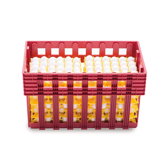 Transport egg box - Ovobox - ARION FASOLI SRL - for chicken eggs / plastic