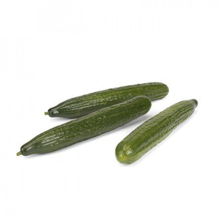 Ccu cucumber seed - CERVELLO RZ F1 - Rijk Zwaan - spring / hybrid