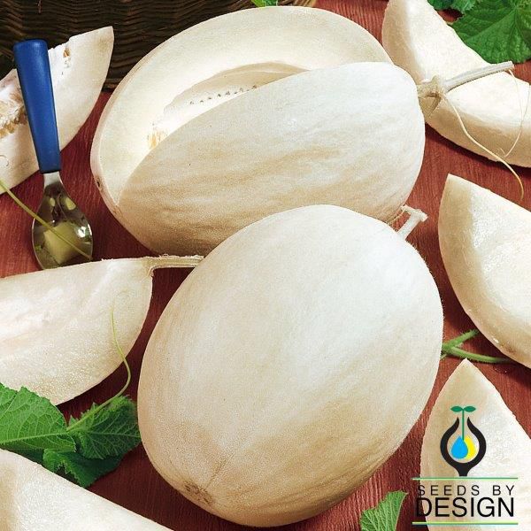 Annual melon seed - Sakata's Sweet - Seeds by Design - round
