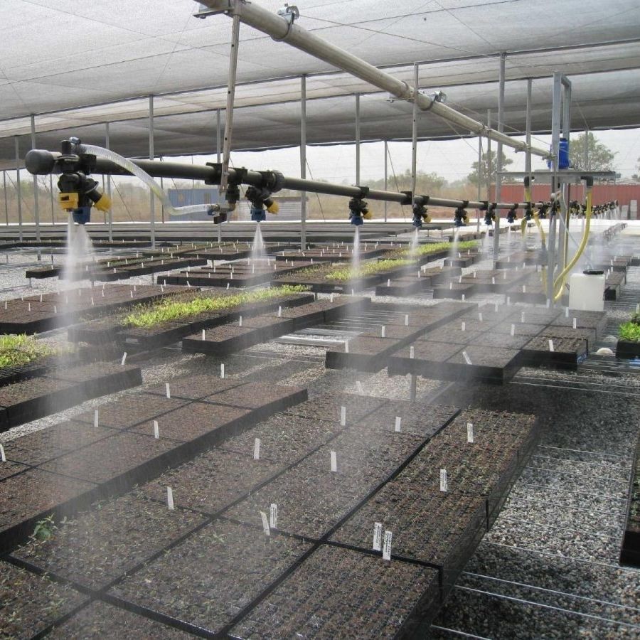 Even-span greenhouse - BCC AB - plastic / temporary / flat roof