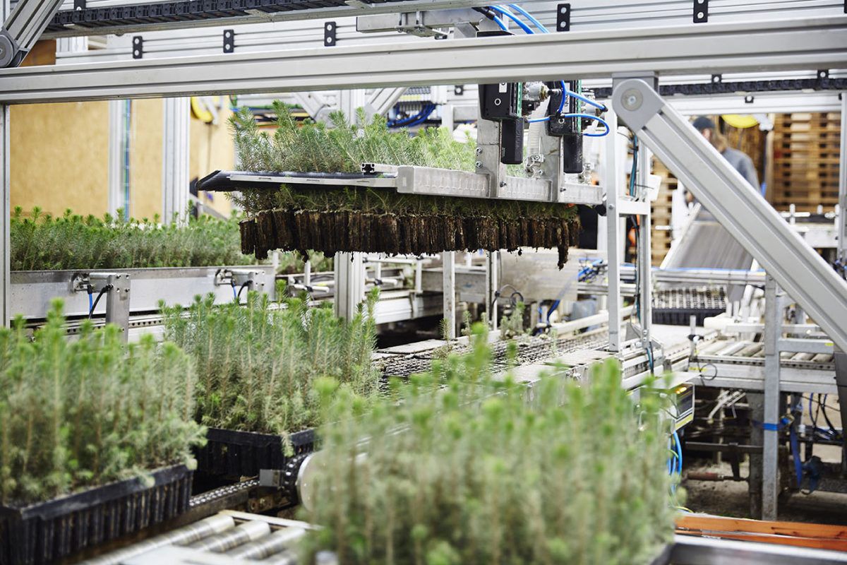 Automatic packing machine - BCC AB - robotic