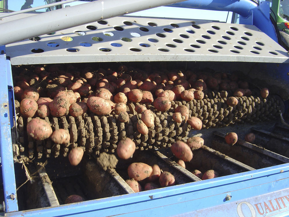 Potato harvester / tractor-mounted / 1-row - QM - Standen Engineering ...