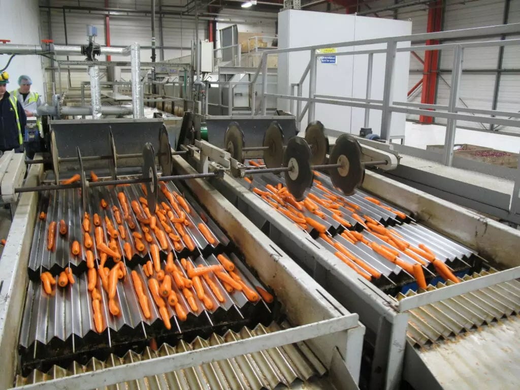 Carrot grader - Tong Engineering - roller / vibrating / automatic