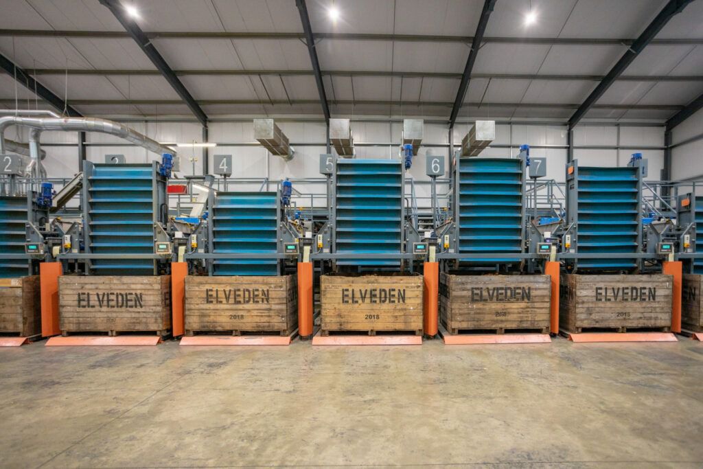 Vegetable box filler - Tong Engineering - fixed / with vertical ...