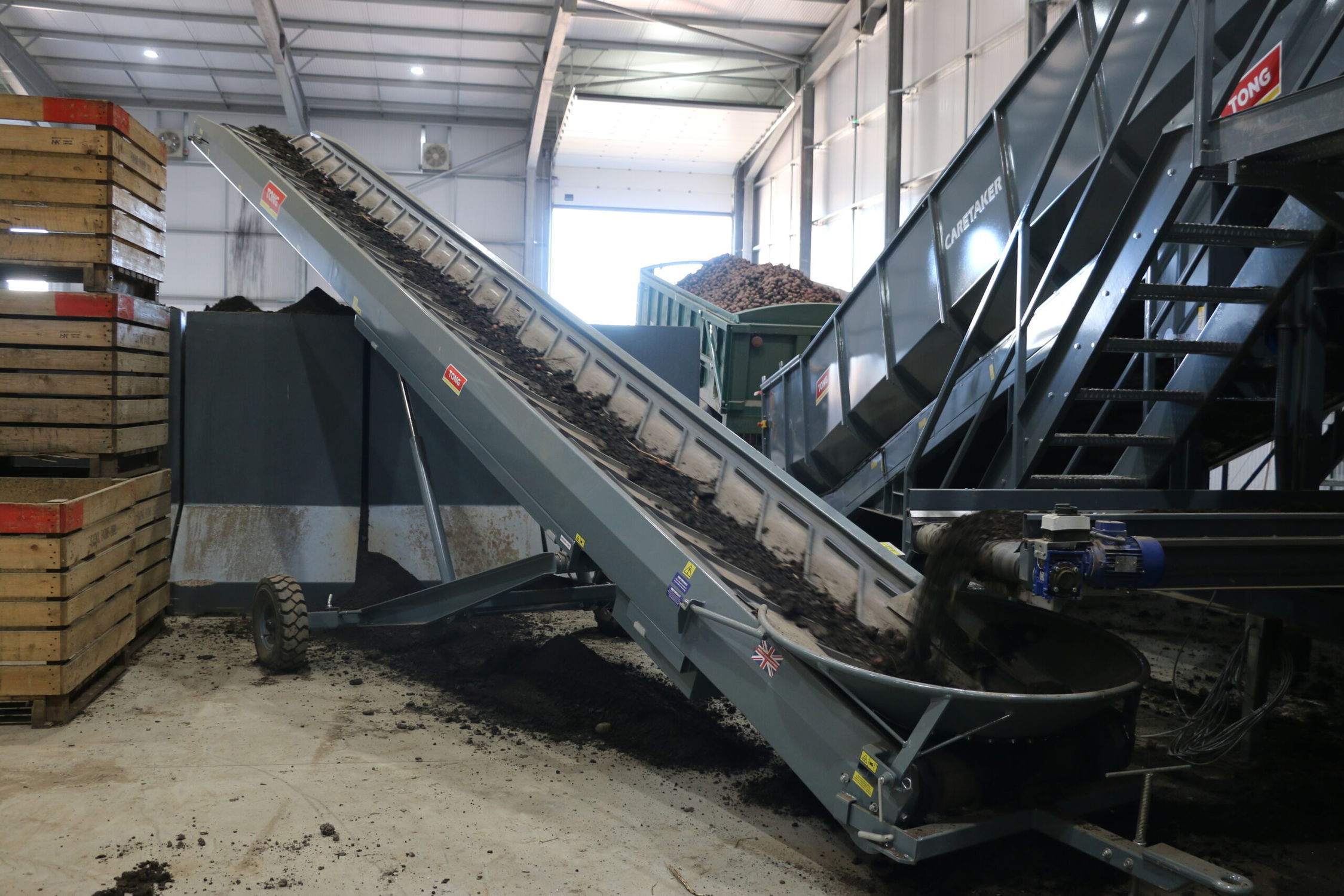 Potato elevator - Tong Engineering - for vegetables / belt / mobile