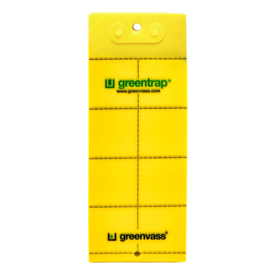 Insect trap - GREENTRAP® - Greenvass - glue / for crops