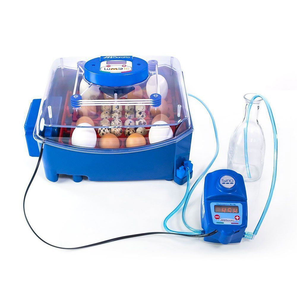 Duck egg incubator - LUMIA 16 EXPERT - BOROTTO - goose / turkey / chicken