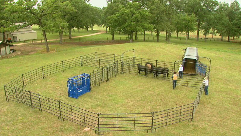Good Cattle Corral Designs Working Pens