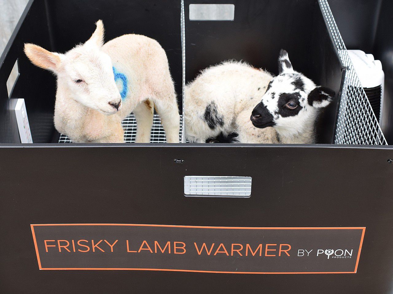 Lamb warmer - Frisky Lamb Warmer - Shearwell Data Ltd