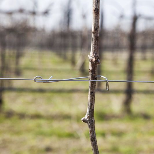 Stainless steel wire clip - EMMEPI SRL