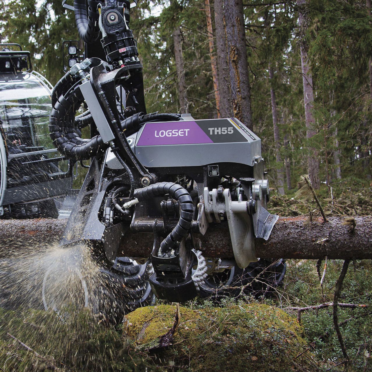 Forest thinning felling head - TH65 - Logset Oy - with delimber