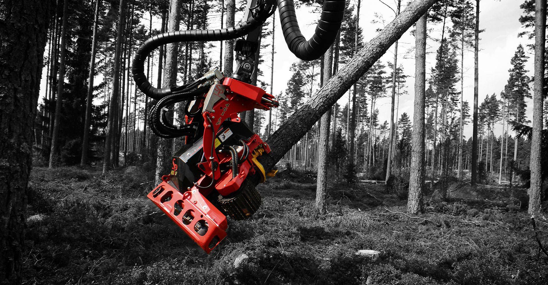 Forest thinning felling head - 461 LF - SP Maskiner i Ljungby AB - with ...