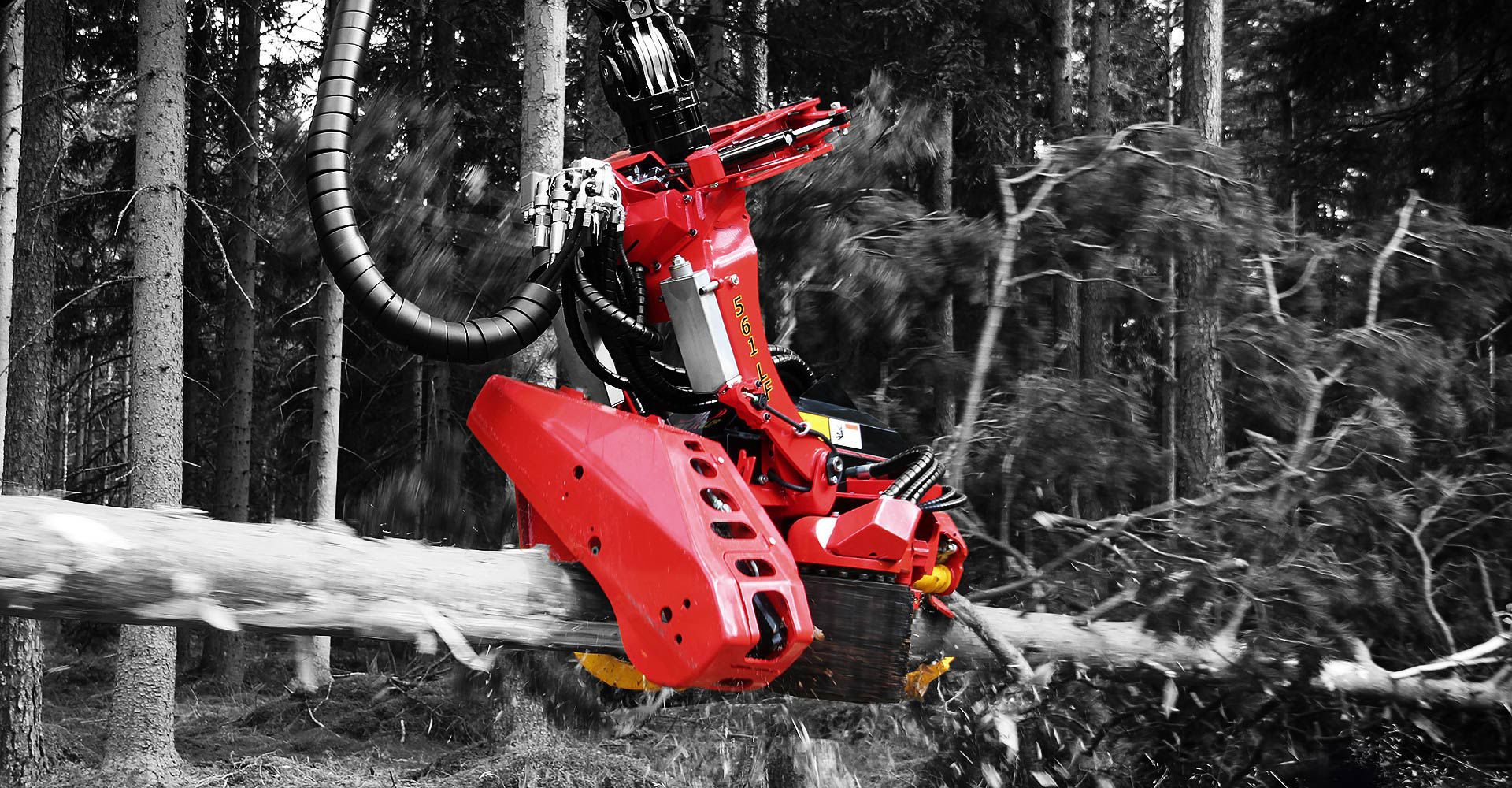 Forest thinning felling head - 561 LF - SP Maskiner i Ljungby AB - with ...