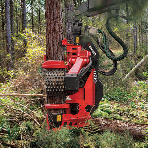 Forest thinning felling head - H219 - Waratah - shaping / with delimber