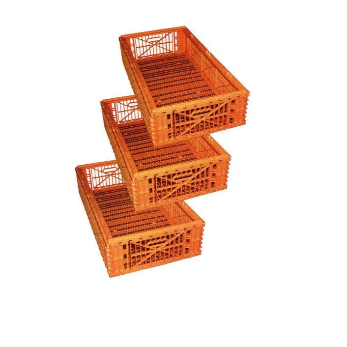 Turkey transport basket - Carfed - chicken / plastic