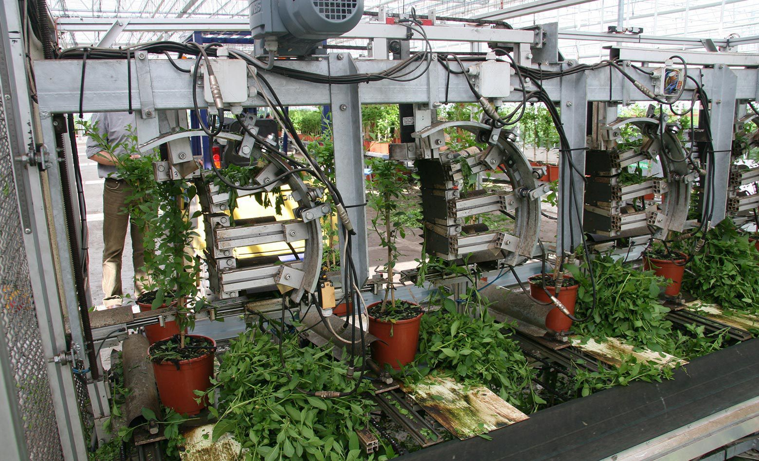 Nursery plants pruning machine - LANZ Multi - Pack TTI / Weber Cooling ...