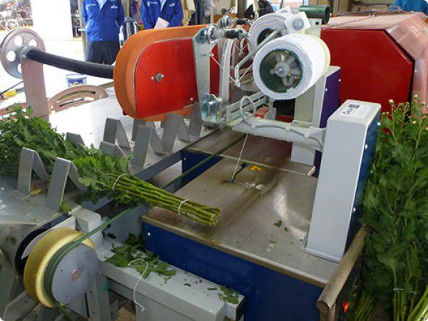 Automatic binding machine - BTM T2300 flower processing line - Pack TTI ...