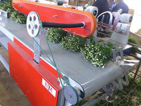 Automatic binding machine - BTM T2300 flower processing line - Pack TTI / Weber Cooling - for ...