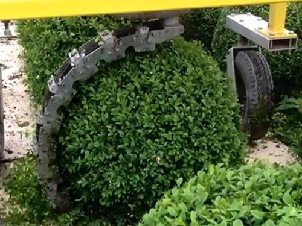 Orchard pruning machine - RAP 205 - Pack TTI / Weber Cooling ...