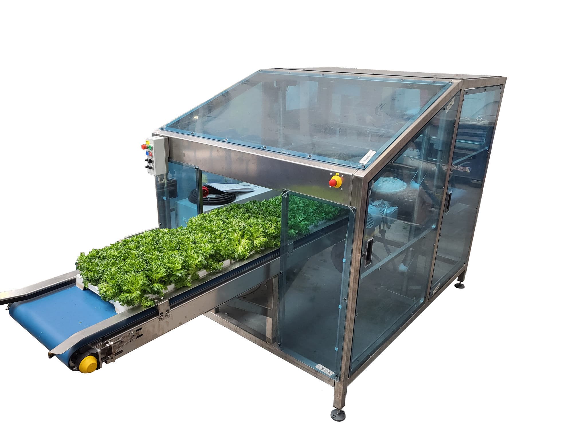 Vegetable harvester machine - EazyCut - Pack TTI / Weber Cooling - self ...