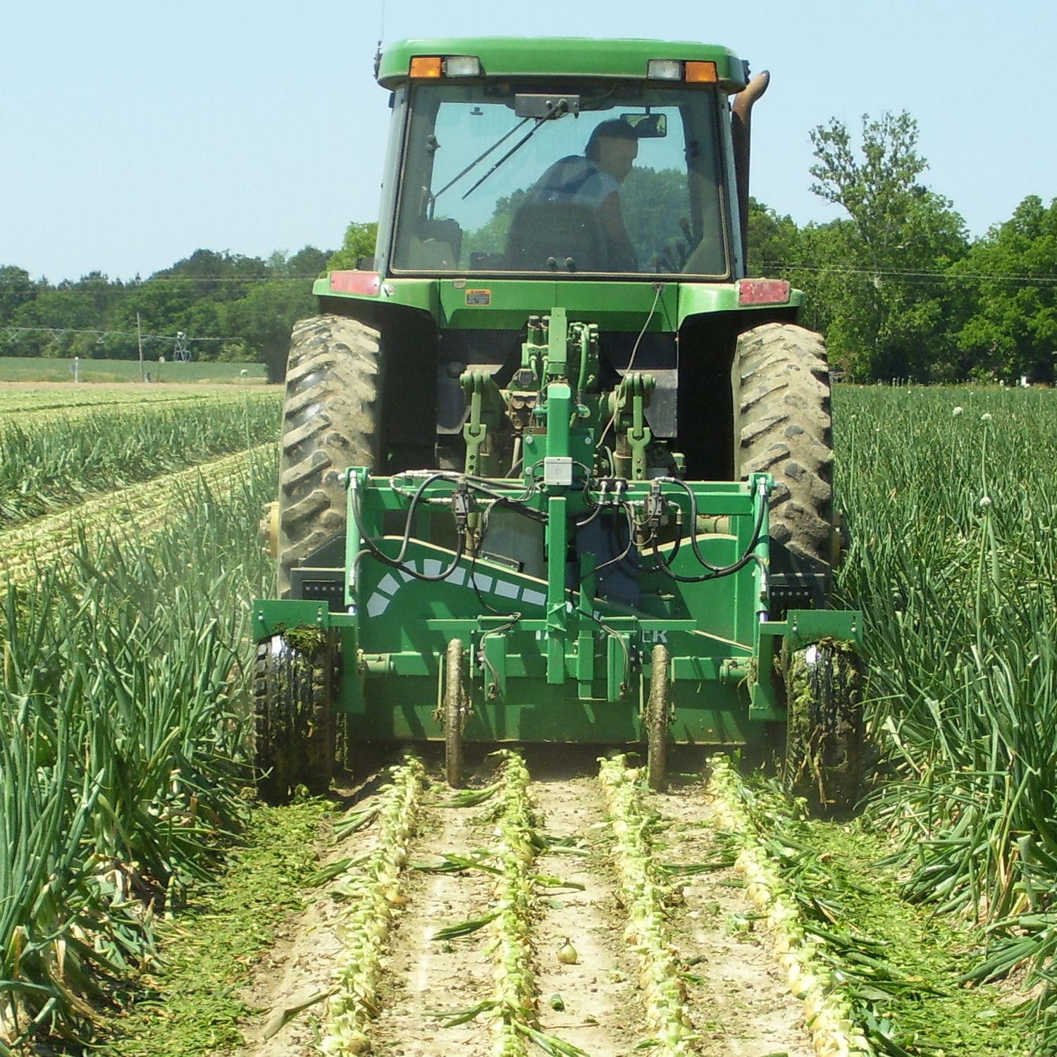 Onion haulm topper - Nicholson Machinery Ltd. - 4-row