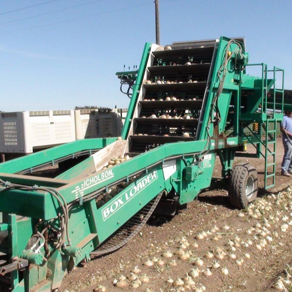 Onion loader - Nicholson Machinery Ltd. - towed