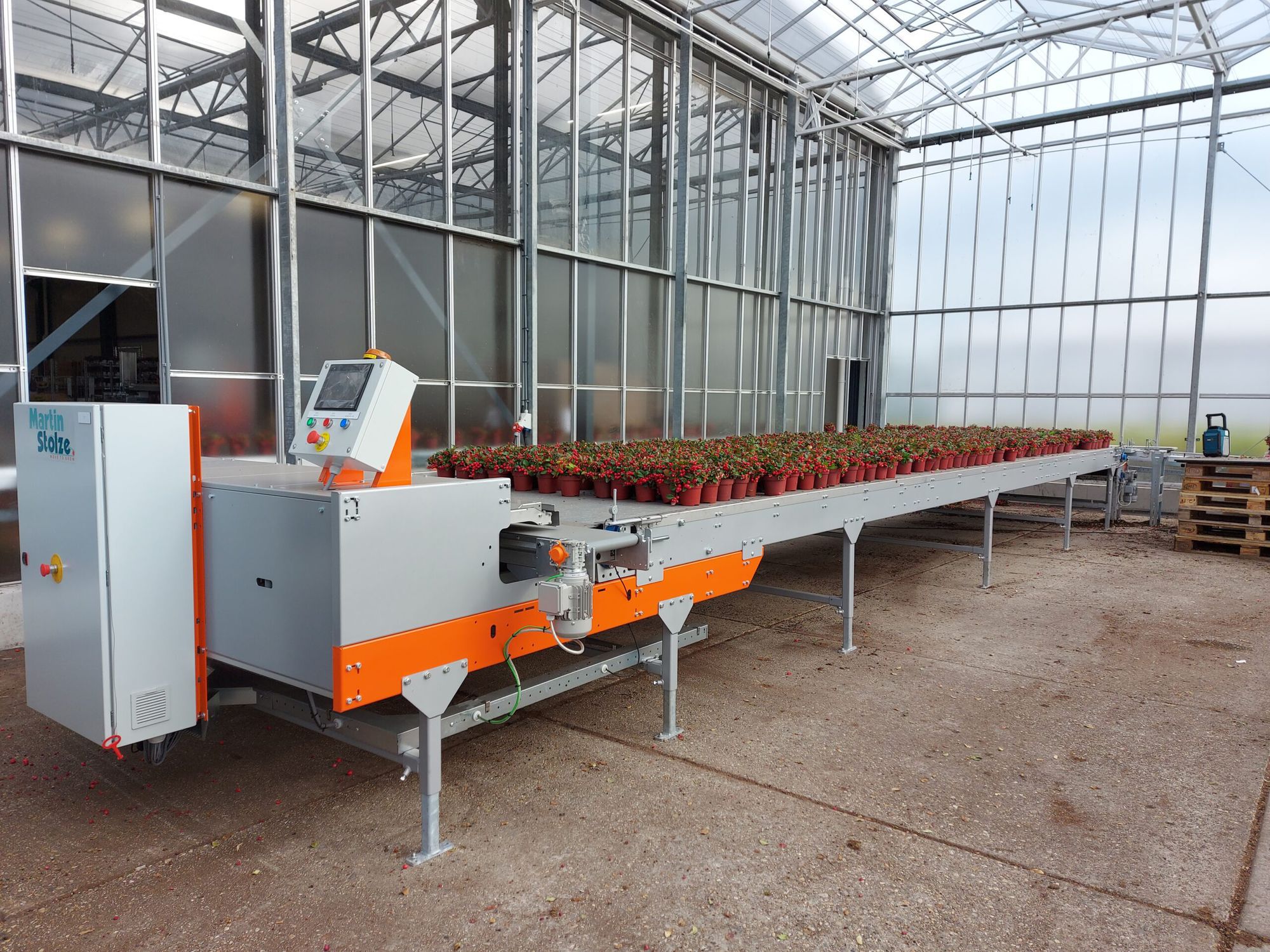 Buffer conveyor - Martin Stolze b.v. - for pots / belt / sorting