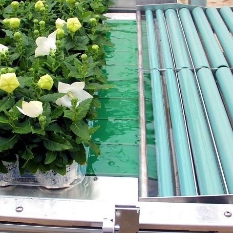 Submerging conveyor - Martin Stolze b.v. - for pots / for trays / belt