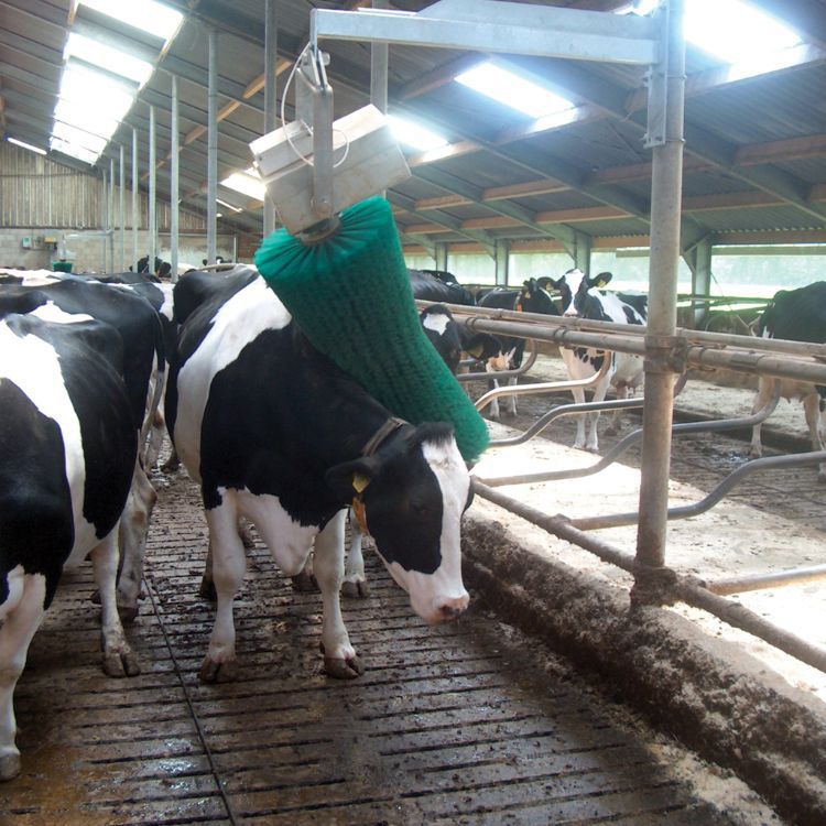 Livestock comfort brush - 1909940 - Schippers - rotating / cows / drive