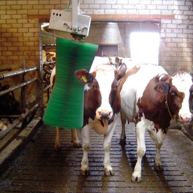 Livestock comfort brush - 1909940 - Schippers - rotating / cows / drive