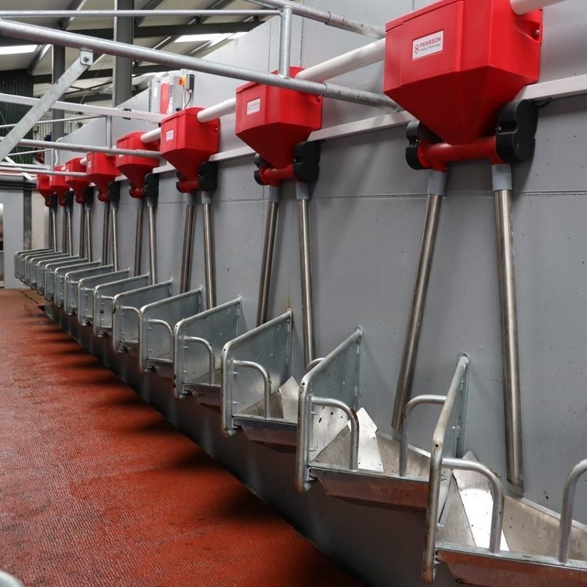 Cattle automatic feed distribution unit - Pearson International - trough
