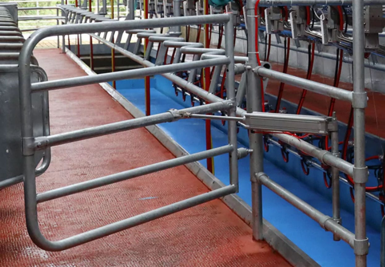 Livestock gate - Pearson International - stable / for cows / metal