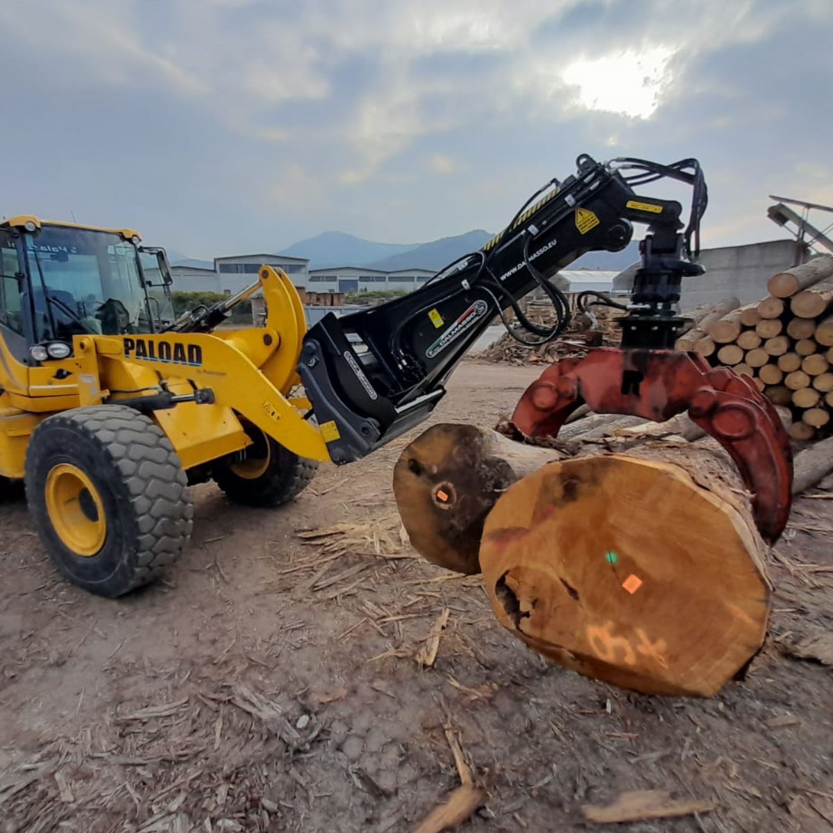 Wheel loader lifting boom - Dalmasso - for grapple / versatile
