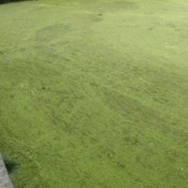 Anti algae floating cover - Bonetto Cover Ball - for reservoirs ...