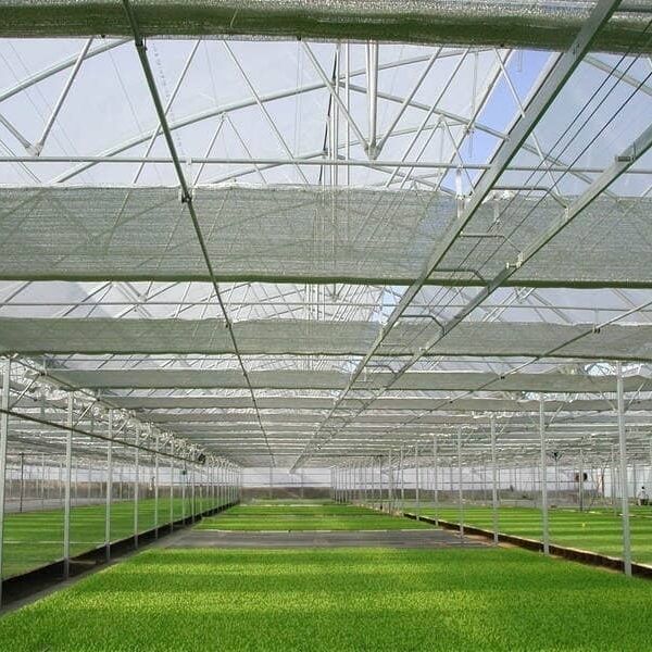 Shade screen system - J. Huete Greenhouses - energy / climate-control ...
