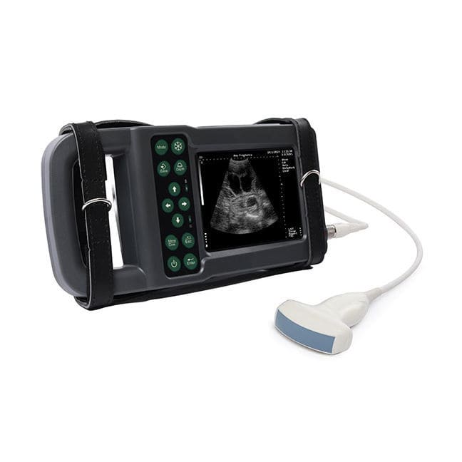 Portable veterinary ultrasound system - KX5600L - Xuzhou Kaixin ...