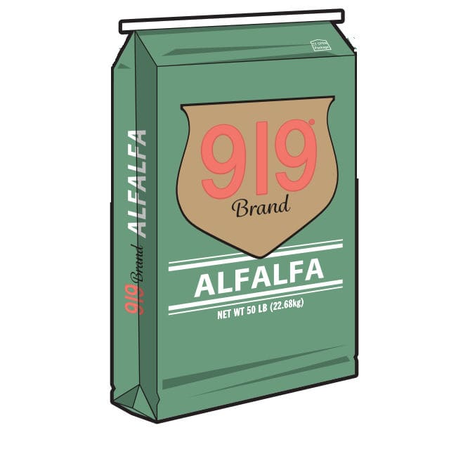 Alfalfa fodder - 919 Brand - lacrosseseed - against nematodes / cold ...