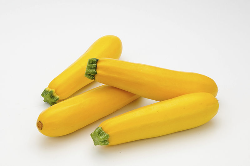 Hybrid zucchini seed - Goldy - Origene seed - yellow