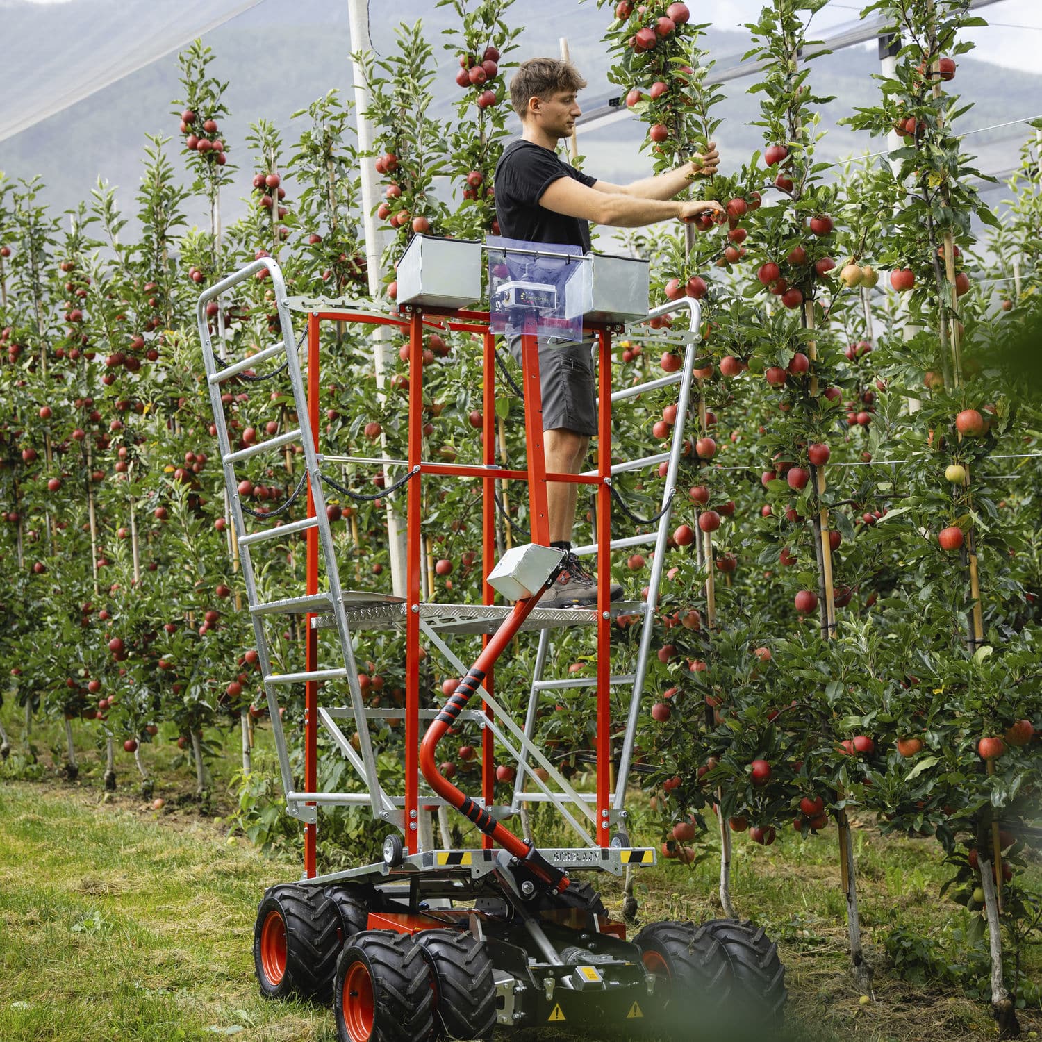 Harvesting platform - Platform - Frucotec - tree pruning / self ...