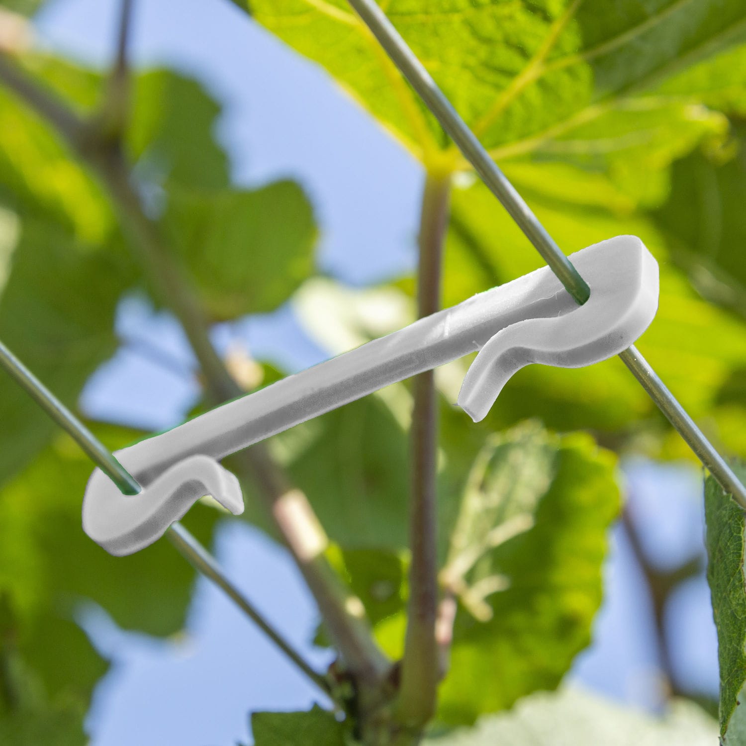 Vineyard fence staple - SGR063PLA - LaCruz S.r.l.