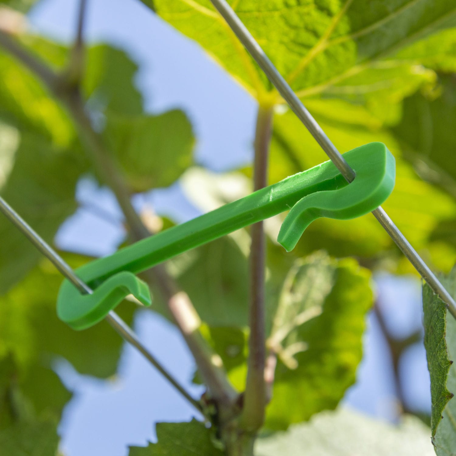 Biodegradable fence staple - SGR063B - LaCruz S.r.l. - vineyard