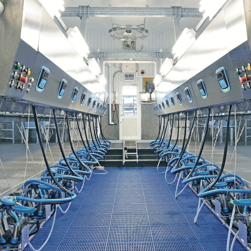 Parallel milking parlor - PRO - Milkline NG SpA - for cows / rapid exit ...