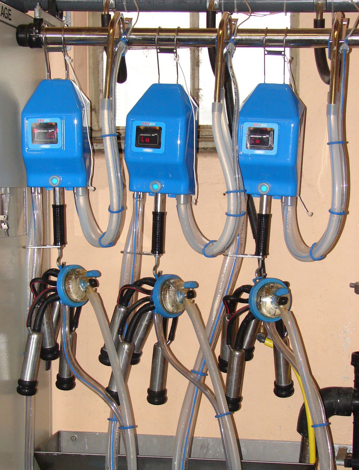 Pipeline milking machine - RTS - Milkline NG SpA - for cows / electric