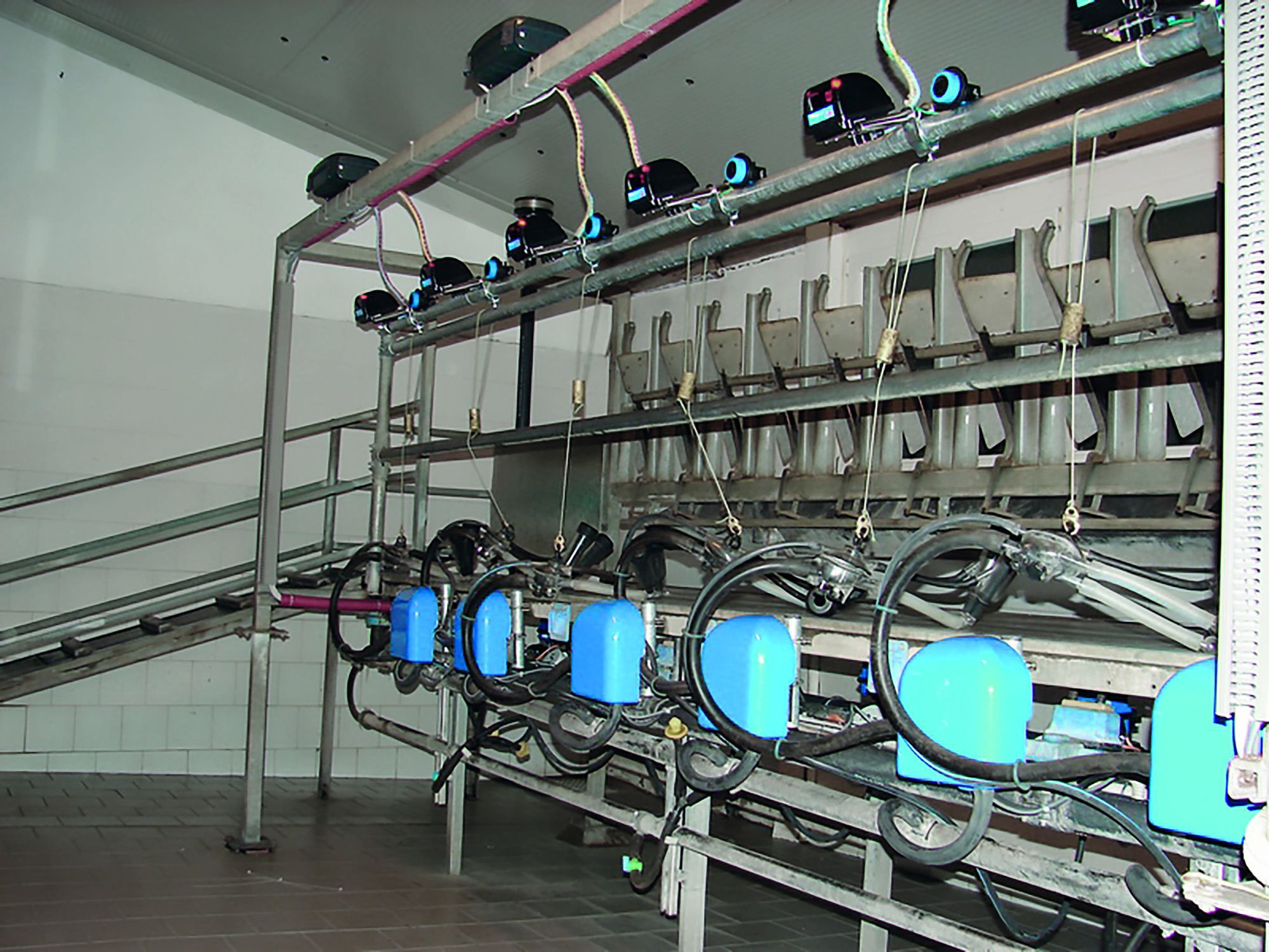 Goat milking parlour - Milkline NG SpA - for sheep / parallel / with ...