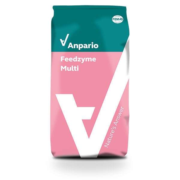 Enzyme feed additive - Feedzyme Multi - Anpario - poultry / for pigs ...