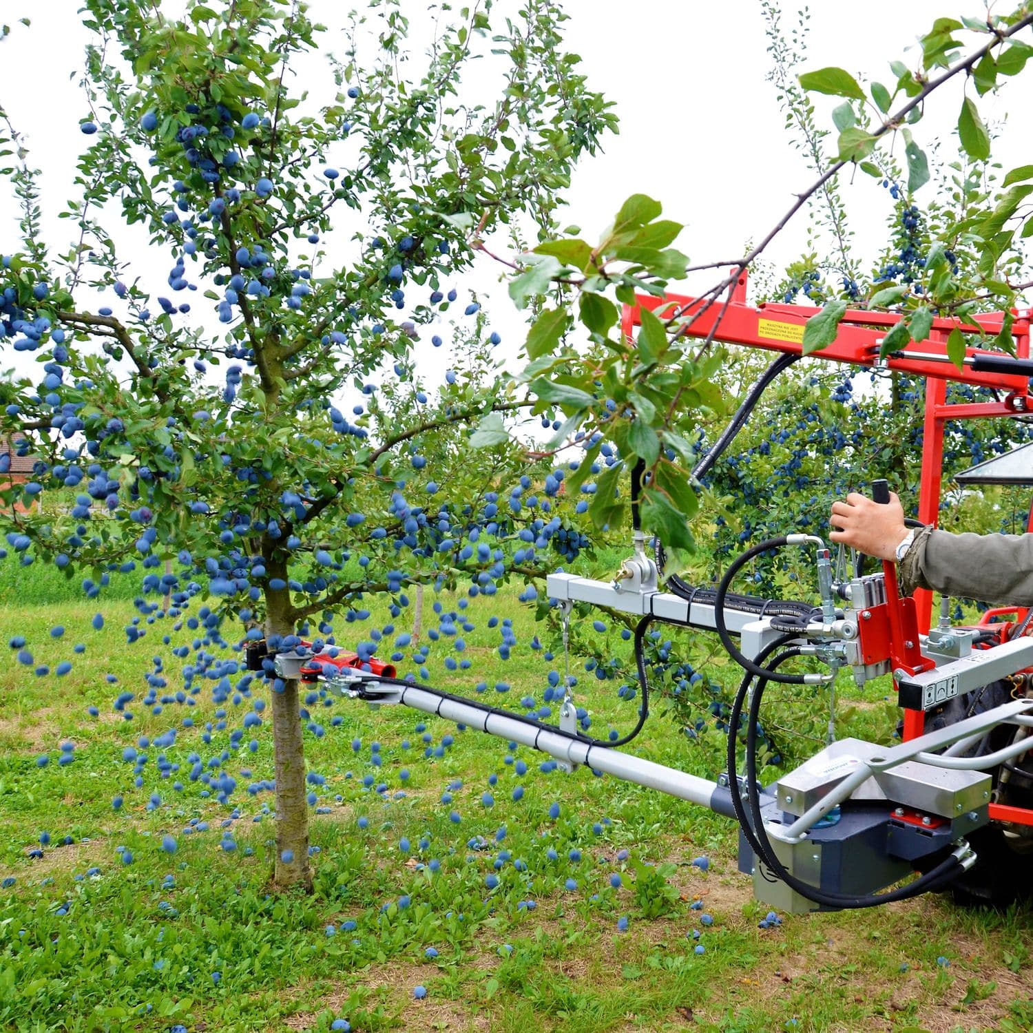 Fruit tree shaker - PESTKA - JAGODA JPS Agromachines - almond / pecan ...